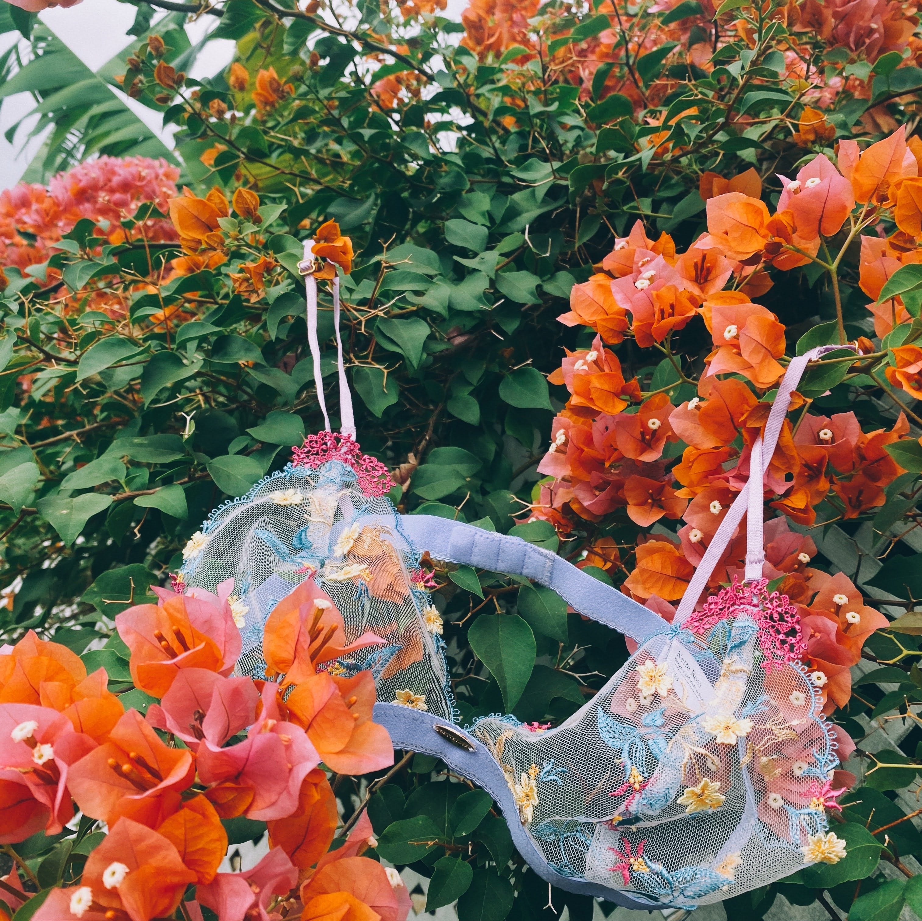 Phoebe Triangle Bralette – Nette Rose